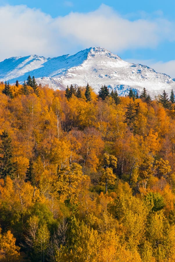 557 Anchorage Alaska Fall Stock Photos - Free & Royalty-Free Stock ...