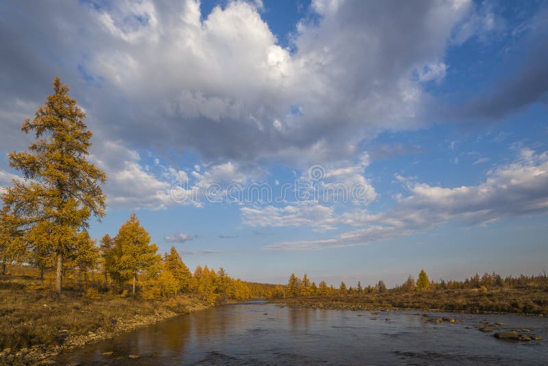 Fall Colors. Autumn Landscape in the Far North. Arctic Stock Image ...