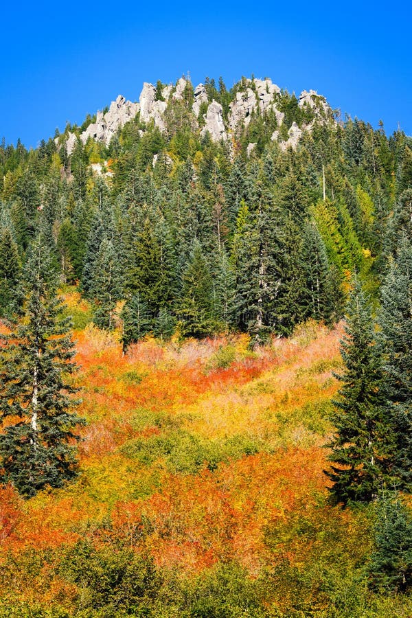 Fall Colors on an Avalanche Slope in the Cascade Mountains Stock Photo ...