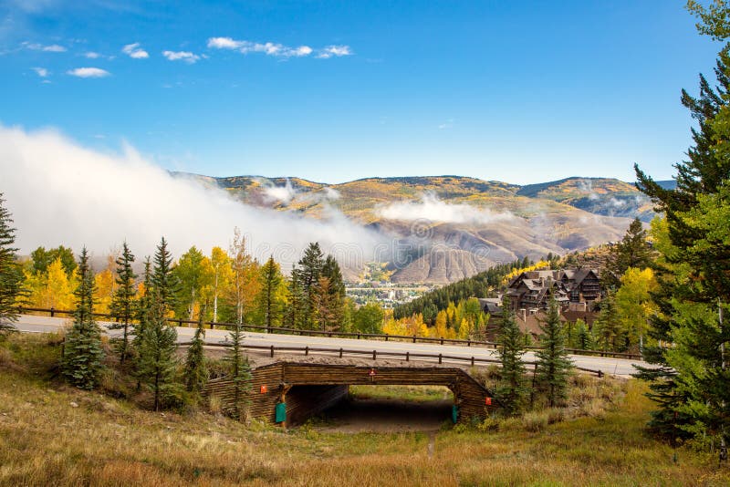 Fall Colors at Bachelor Gulch, Colorado Stock Photo - Image of road ...