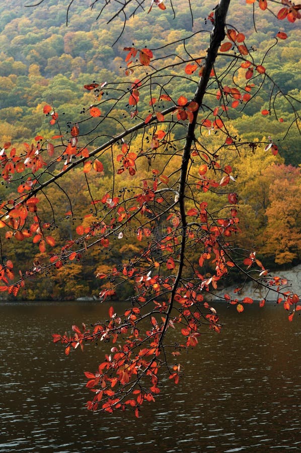 Fall Colors at Bear Mountain Stock Photo - Image of foliage, tourism ...