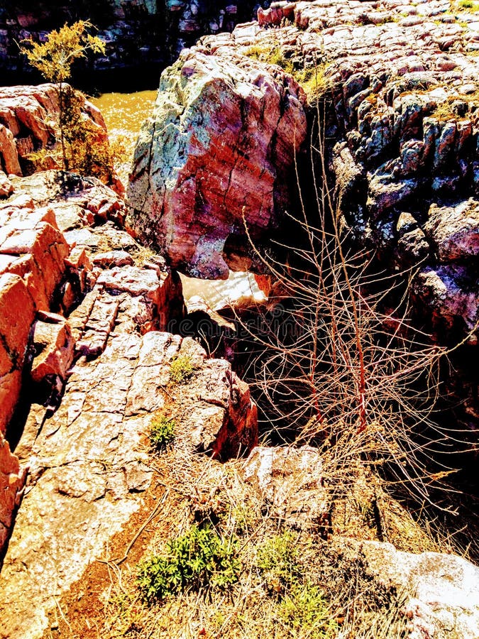 Fall colors big rocks stock image. Image of flower, fall - 234308363
