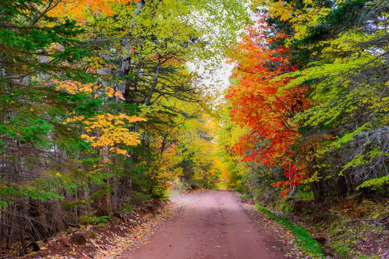 Fall colors in Canada stock photo. Image of flora, nature - 63360068
