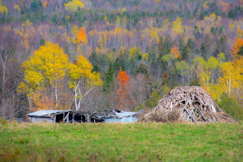Fall Colors in the Canadian Countryside Stock Image - Image of foliage ...