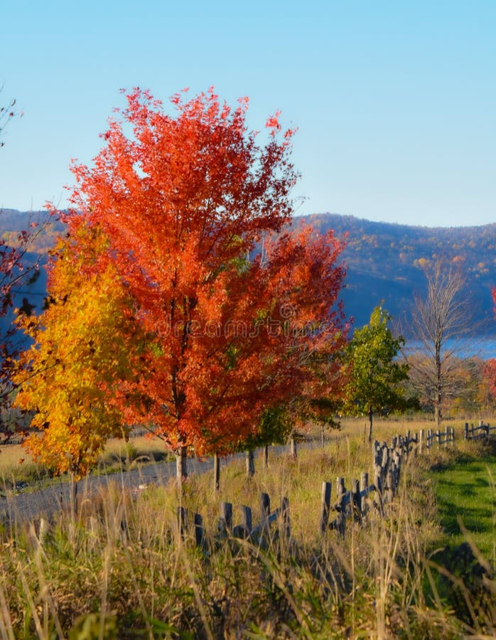 Fall Colors in the Canadian Countryside Stock Image - Image of autumn ...