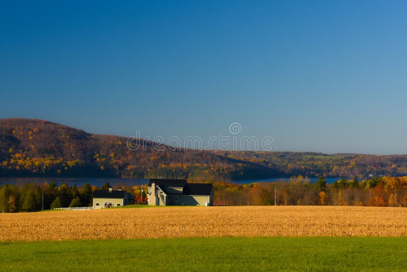 Fall Colors in the Canadian Countryside Stock Image - Image of outdoor ...