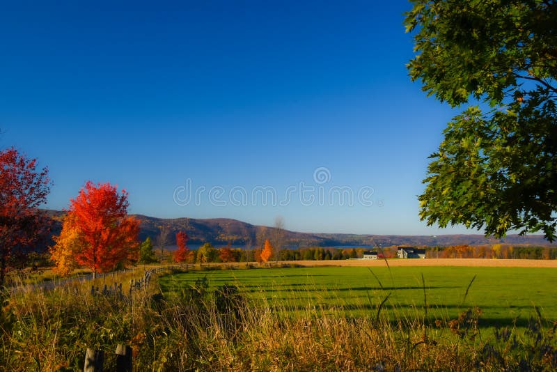 Fall Colors in the Canadian Countryside Stock Photo - Image of colorful ...