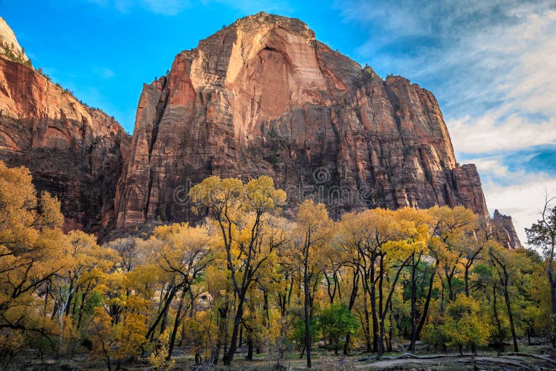 Fall Colors on the Cliffs of Zion, Zion National Park, Utah Stock Image ...