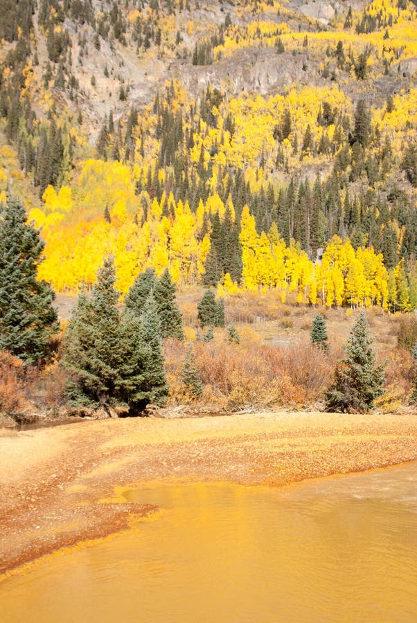 Muddy Yellow River in Colorado Stock Photo - Image of mountain, foliage ...