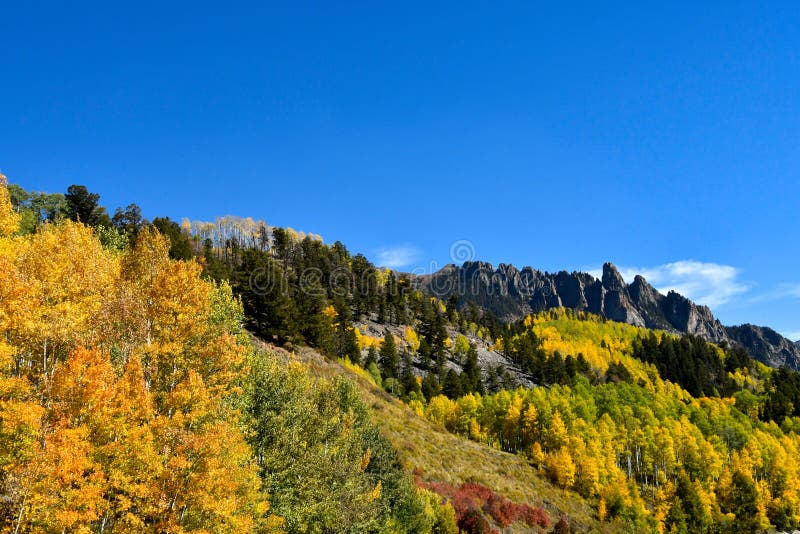Fall Colors in Colorado stock image. Image of orange - 177038075
