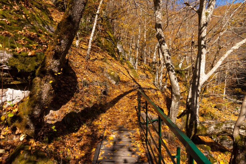 Fall colors stock image. Image of inspirational, landscape - 46060167