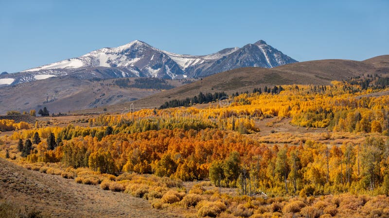Fall Colors on Conway Summit Stock Image - Image of bright, snow: 103482001