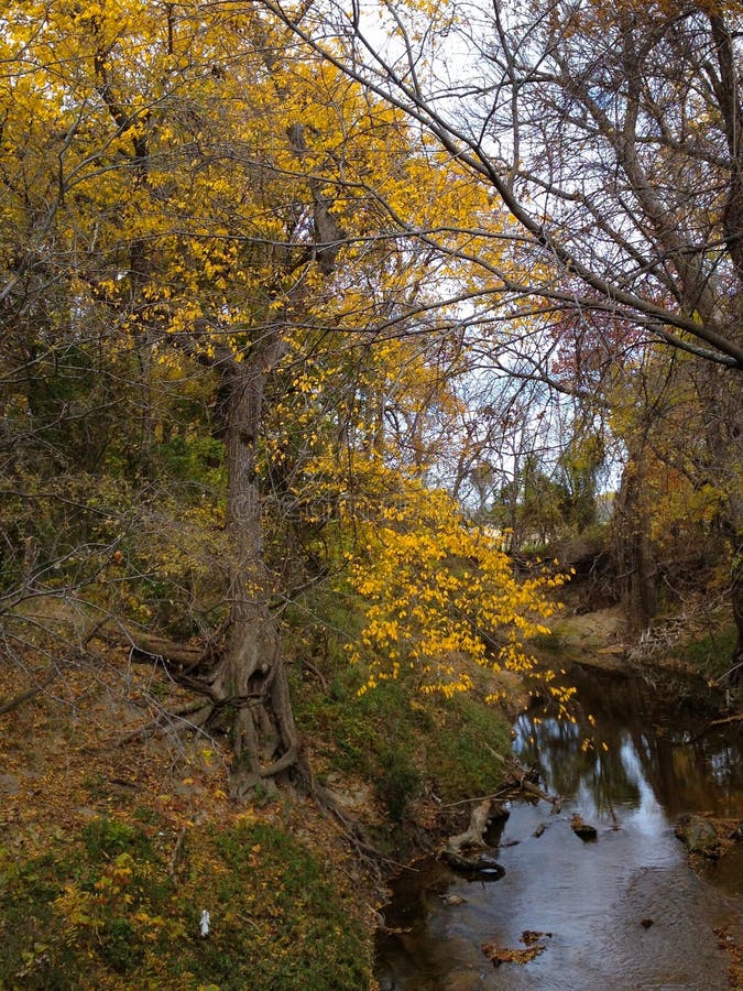 Fall colors stock image. Image of autumn, trails, creek - 44334033