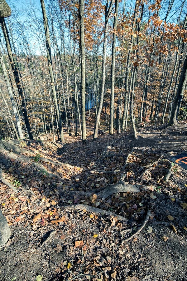 Fall colors stock image. Image of colors, trail, light - 250996955