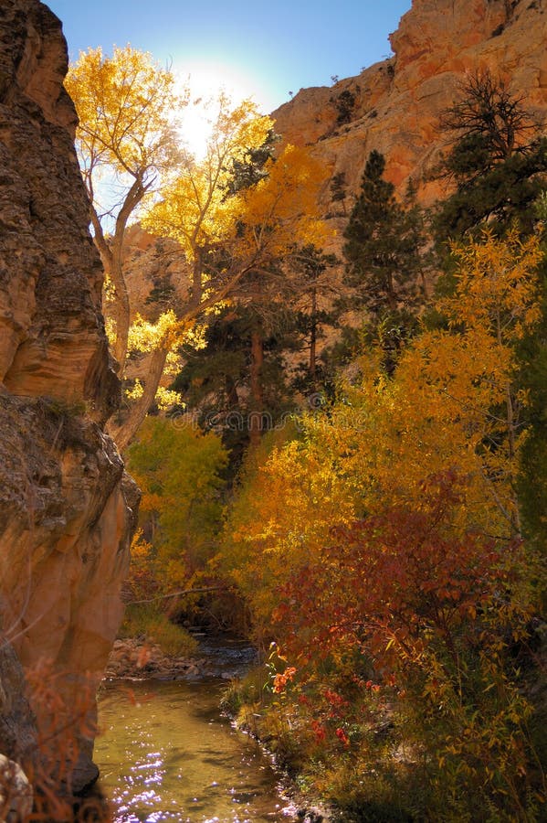 Fall Colors in Death Box Canyon Stock Image - Image of wood, peaceful ...
