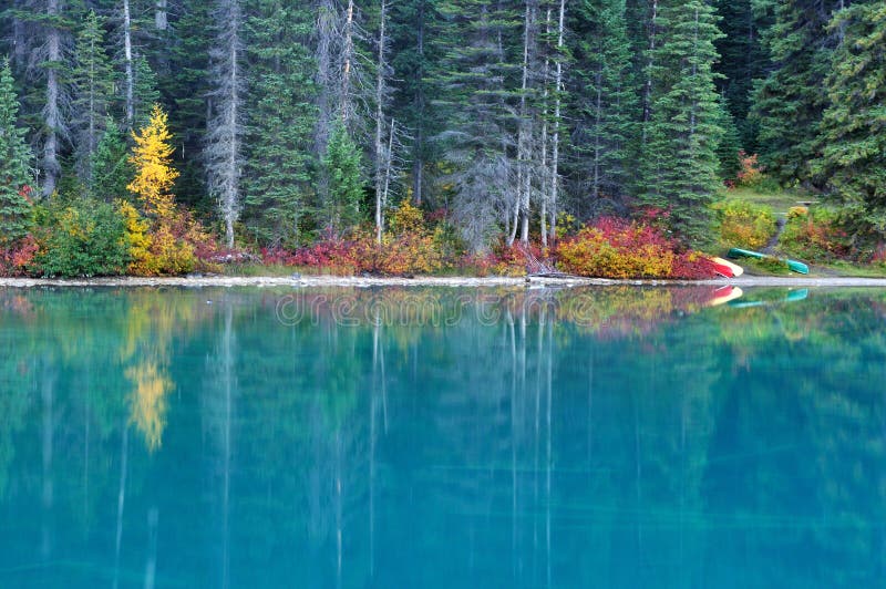 Fall Colors in North Cascades National Park Stock Image - Image of ...