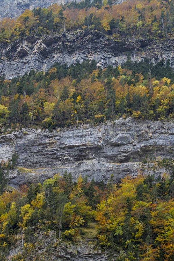 Fall Colors Forming Horizontal Lines Stock Image - Image of leaf, color ...