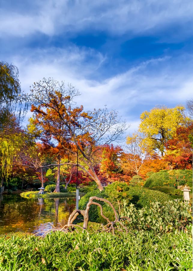 Fall Colors in the Gardens stock image. Image of texas - 29446791