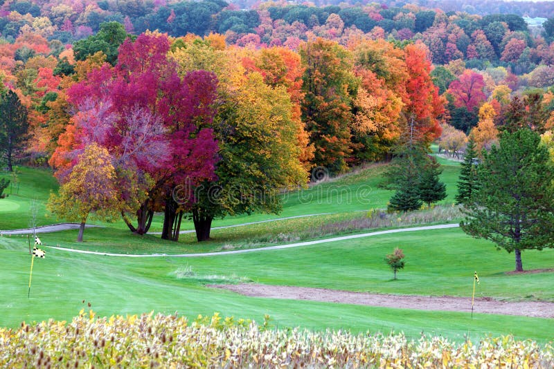 Fall colors in golf course stock image. Image of outdoors - 27248969