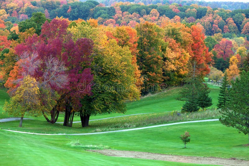 Fall colors in golf course stock photo. Image of rattlesnake - 27249034