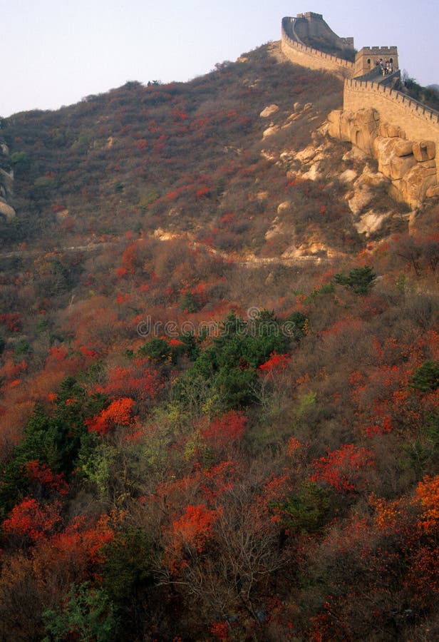 Fall Colors, Great Wall of China, Stock Photo - Image of brush, wall ...