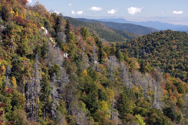 Fall Colors and Hemlock Loss Along the Blue Ridge Stock Photo - Image ...
