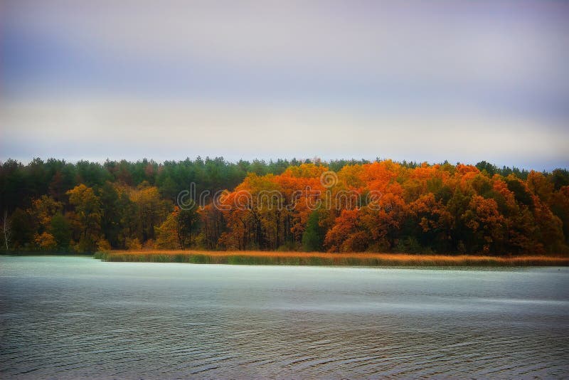 Fall Colors at Island. Reflections at Waters Edge Stock Photo - Image ...