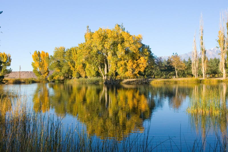 Fall Reflections Picture. Image: 17390715