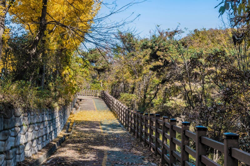 Fall Colors Line Bicycle Path in Rural Park Stock Photo - Image of ...