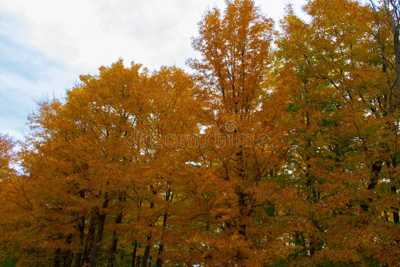 Fall Colors, Upper Peninsula of Michigan Stock Photo - Image of view ...