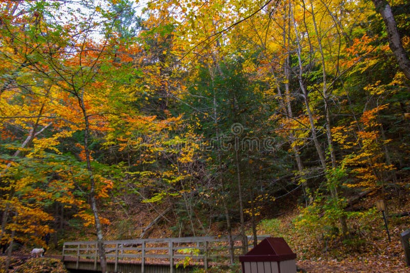 Fall Colors, Upper Peninsula of Michigan Stock Image - Image of autumn ...