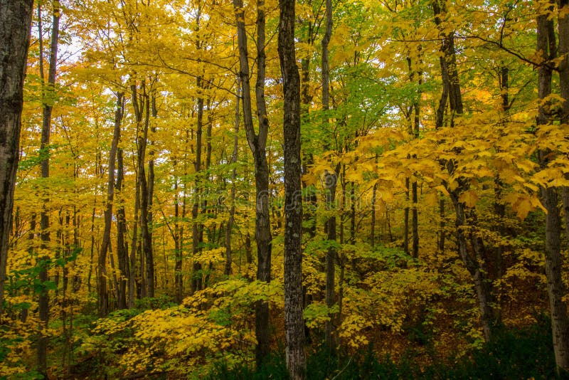 Fall Colors, Upper Peninsula of Michigan Stock Image - Image of fall ...