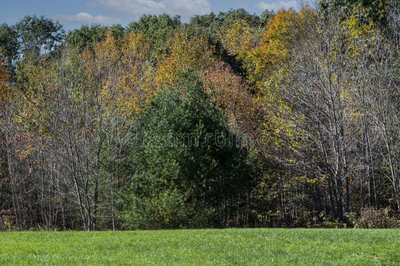 Autumn at moore state park stock image. Image of landscapes - 232601903