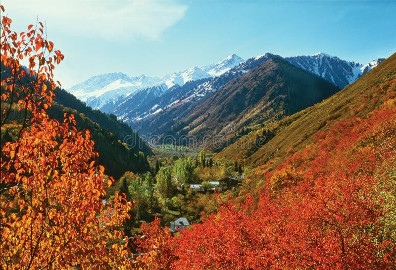 Fall colors of mountains stock image. Image of foliage - 11603469