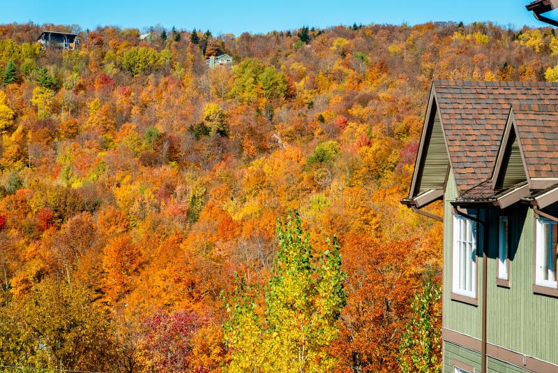 Fall Colors in the Mountains Stock Photo - Image of colors, foliage ...