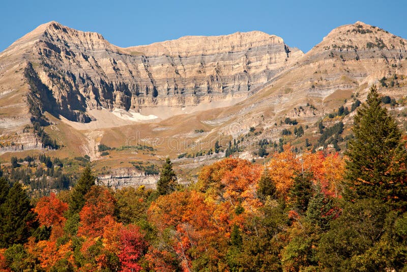 Fall Colors on Mt. Timpanogos, Utah Stock Photo - Image of beauty ...