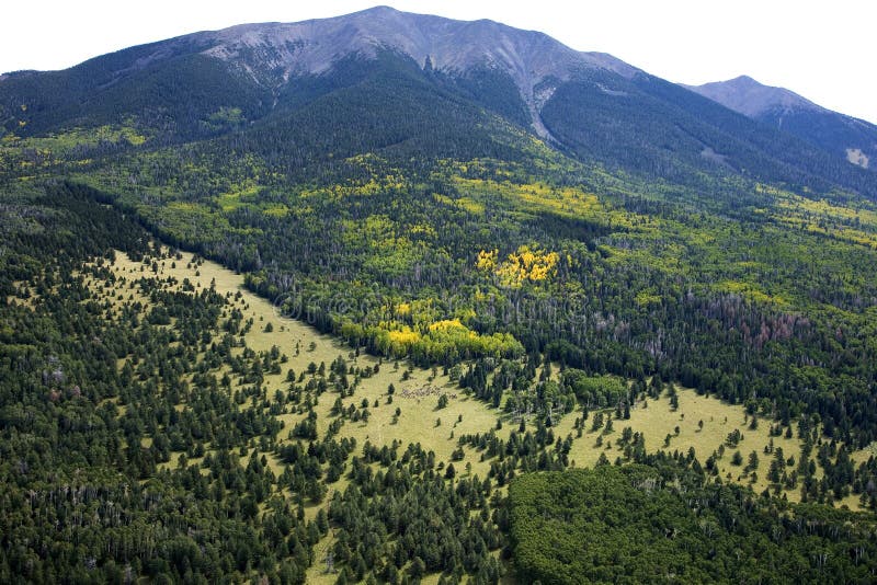 Fall Colors near Flagstaff stock photo. Image of camping - 25617628