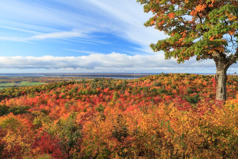 Fall colors stock photo. Image of colors, ottawa, cloud - 50629878