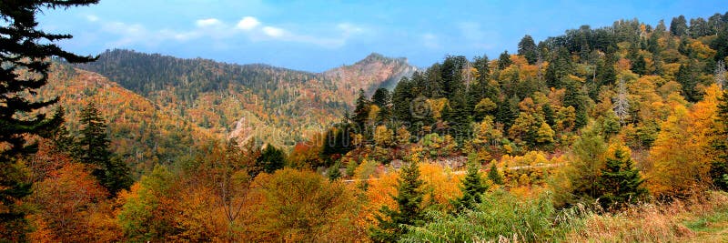 Fall Colors Panoramic stock image. Image of trees, reds - 3577655