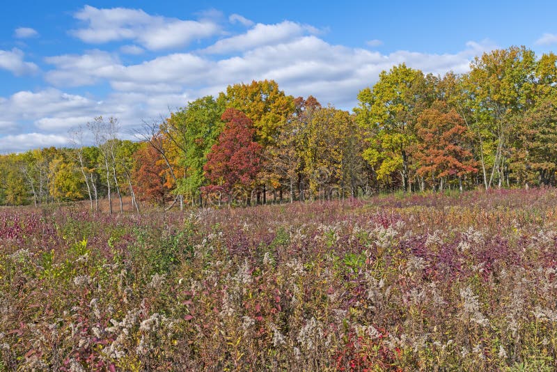Fall Colors in the Prairie and the Forest Stock Image - Image of wild ...
