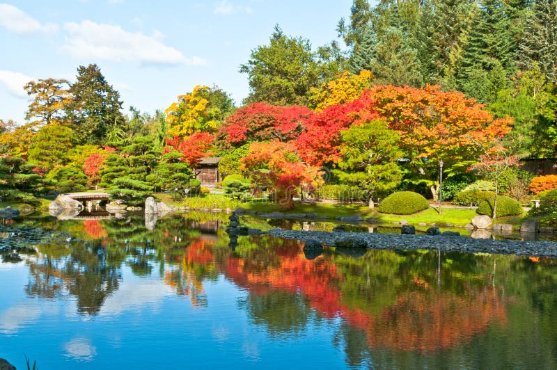 Pond and Fall Foliage in Japanese Garden Stock Image - Image of serene ...