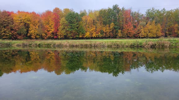 Fall Colors Reflecting Off a Still Pond Stock Image - Image of pond ...