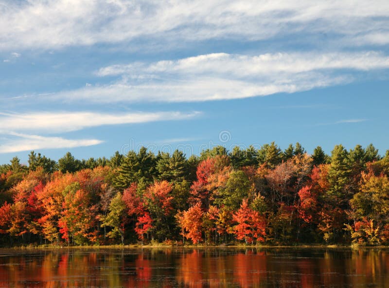 Fall Colors Reflecting on a Pond Stock Photo - Image of trees ...