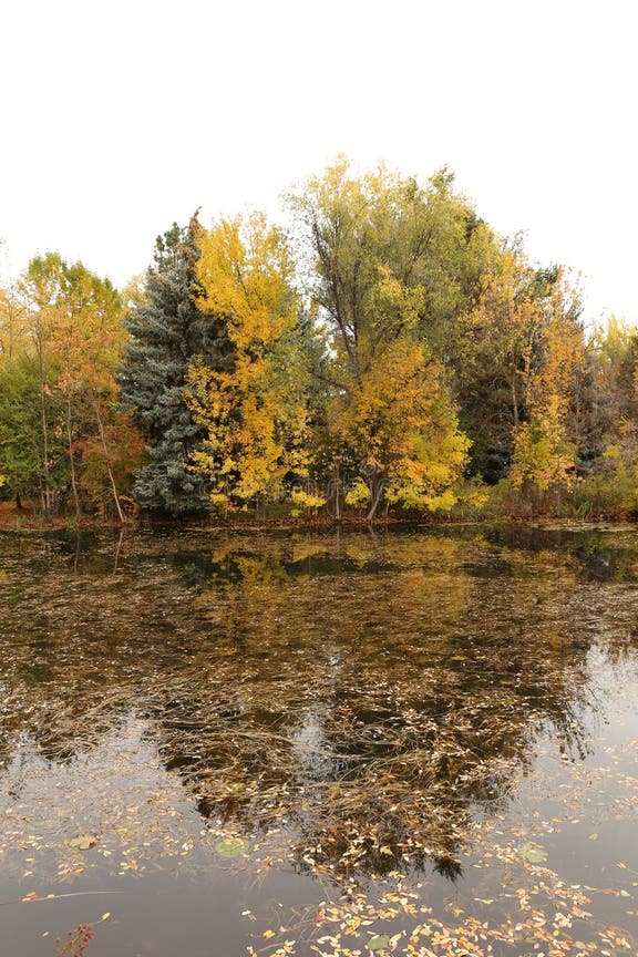 Fall Colors stock photo. Image of river, scenery, outdoors - 260660096