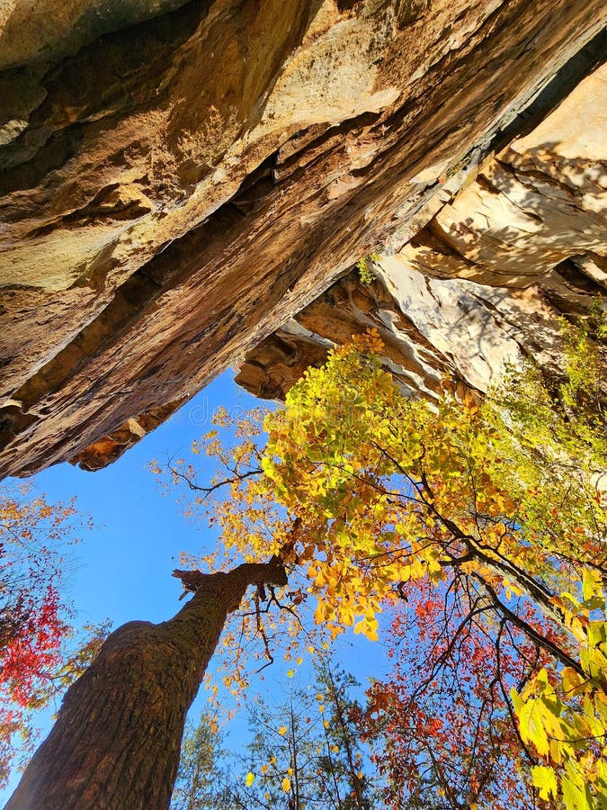 Fall Colors Rockwall Nature Art Abstract Scenic Forest Stock Photo ...