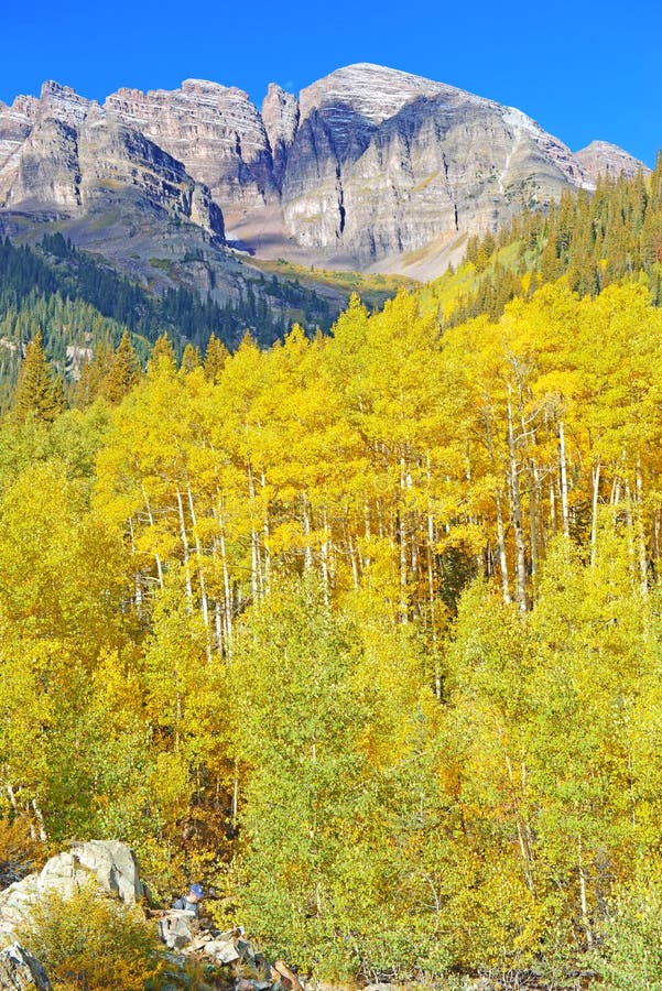 Fall Colors in the Rocky Mountains, USA Stock Photo - Image of foliage ...