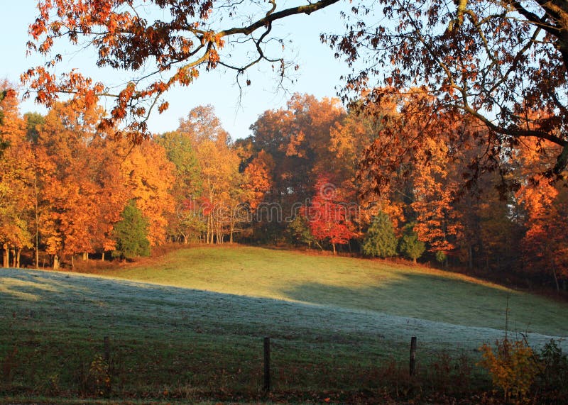 Fall Colors stock photo. Image of pasture, kentucky, trees - 51160334