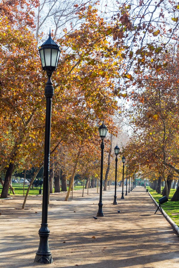 Fall Colors in Santiago, Chile Stock Photo - Image of chile, park: 96105906