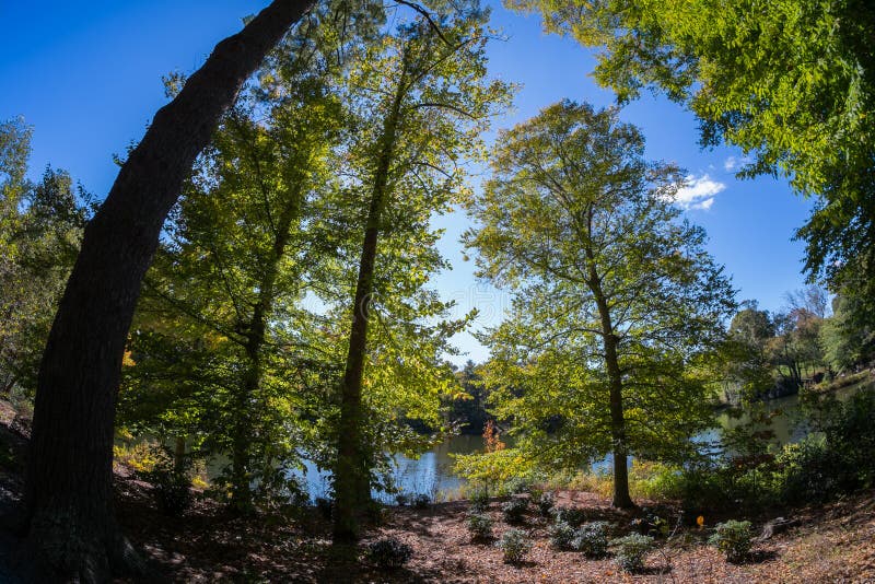 Fall colors stock photo. Image of field, country, green - 34738636