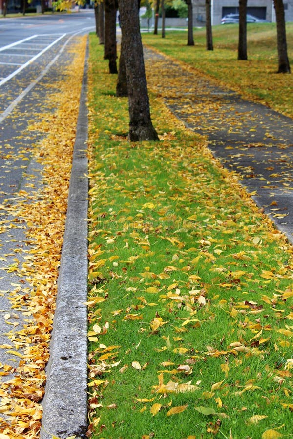 Fall Colors on a Scenic Walkway Along the Boulevard Stock Photo - Image ...